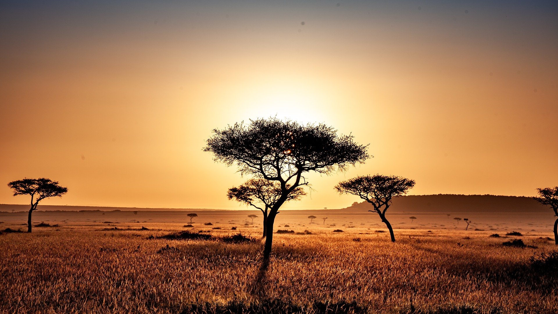 15 atracciones imperdibles en Kenia - Viajes Ikea
